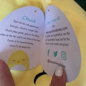 Squishmallows | Toys | Chuck Easter Squishmallow | Poshmark